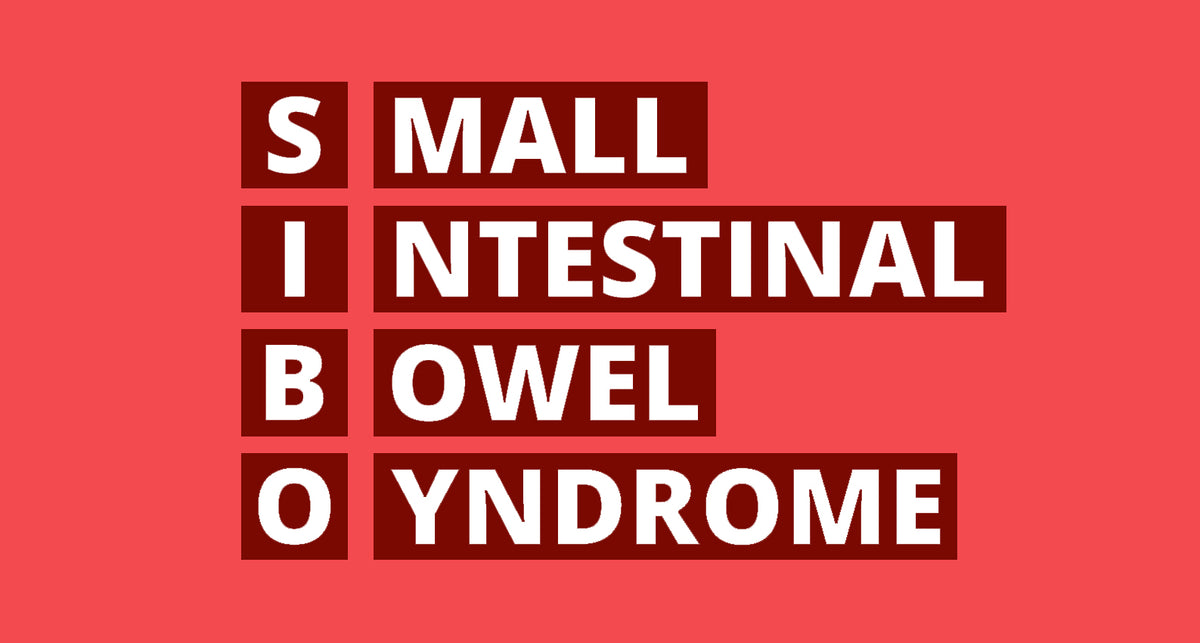 What is SIBO, How To Identify It Within Your Body, & Ways To Improve ...