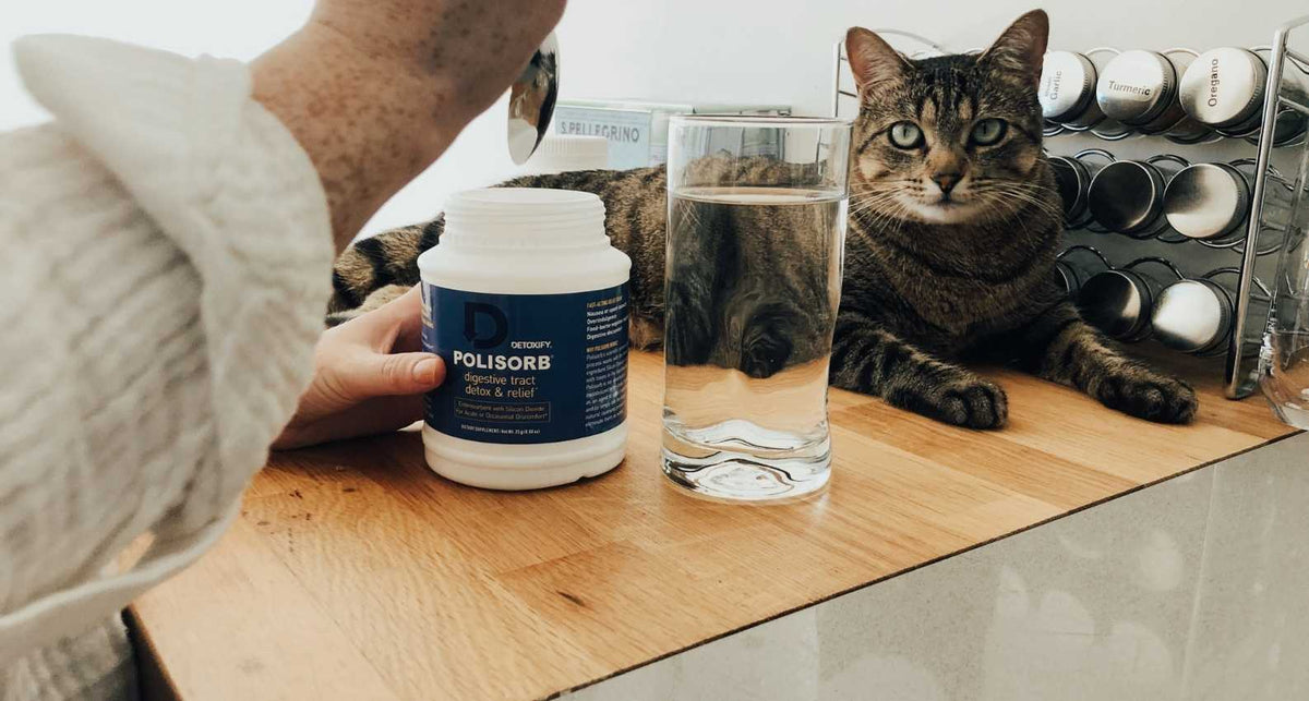 Polisorb Review - Use for Quick Relief from Upset Stomach & As A ...