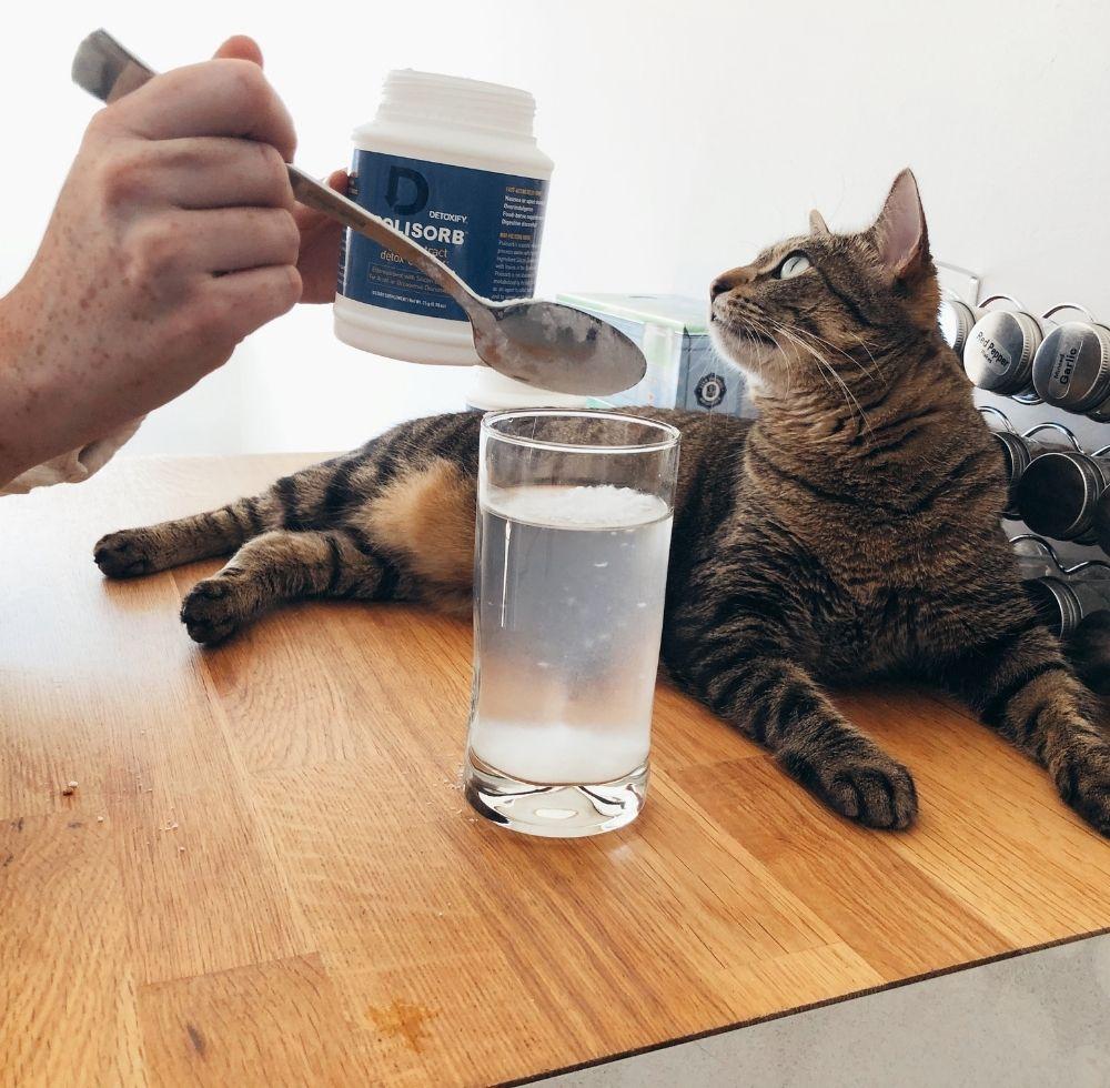 Polisorb 5 Day Digestive Tract Reset Cleanse & Detox - Best 5 Day Gut ...